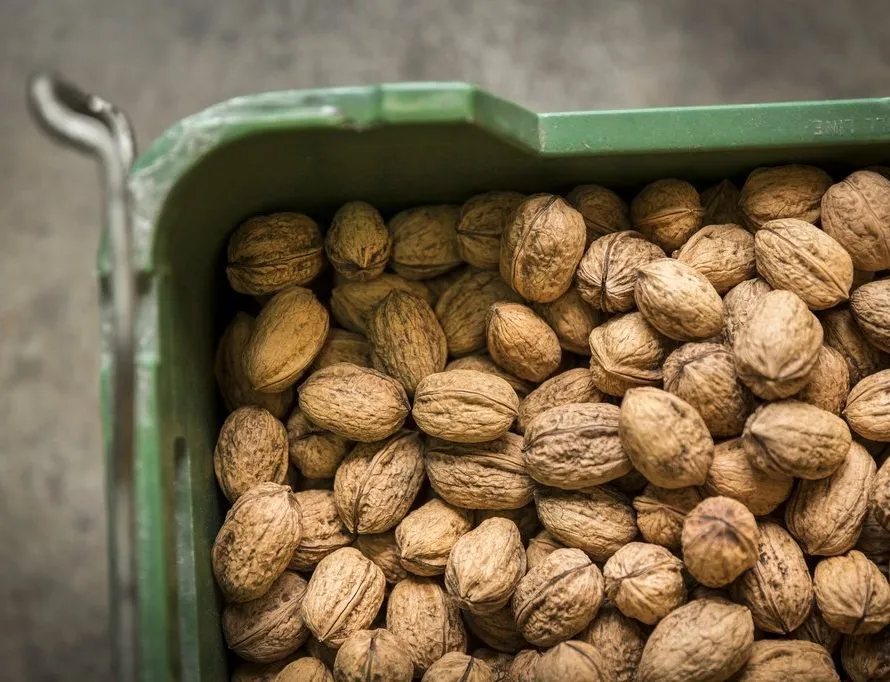 Suppliers Series: Trickett's Grove Walnuts | Bellbird Bakery